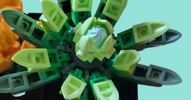 9 Stunningly Realistic LEGO Succulents In A Set To Transform Your Home ...