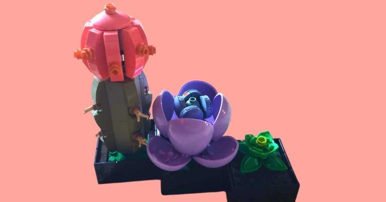 9 Stunningly Realistic LEGO Succulents In A Set To Transform Your Home ...