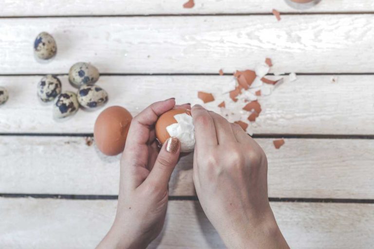 Crushed Eggshells As Fertilizer For Succulents: A Comprehensive Guide