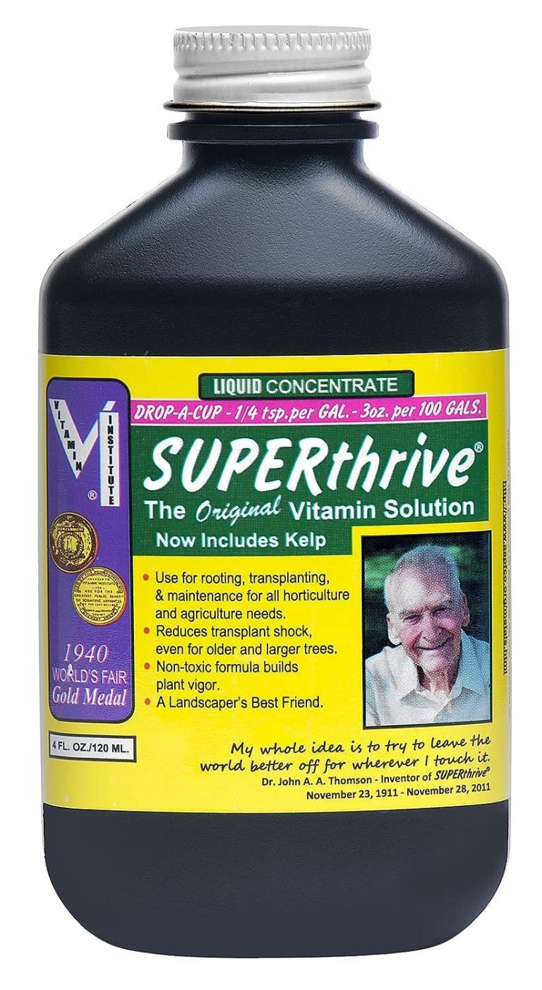 How To Safely Transplant A Cactus: A Comprehensive Guide + Life Hacks